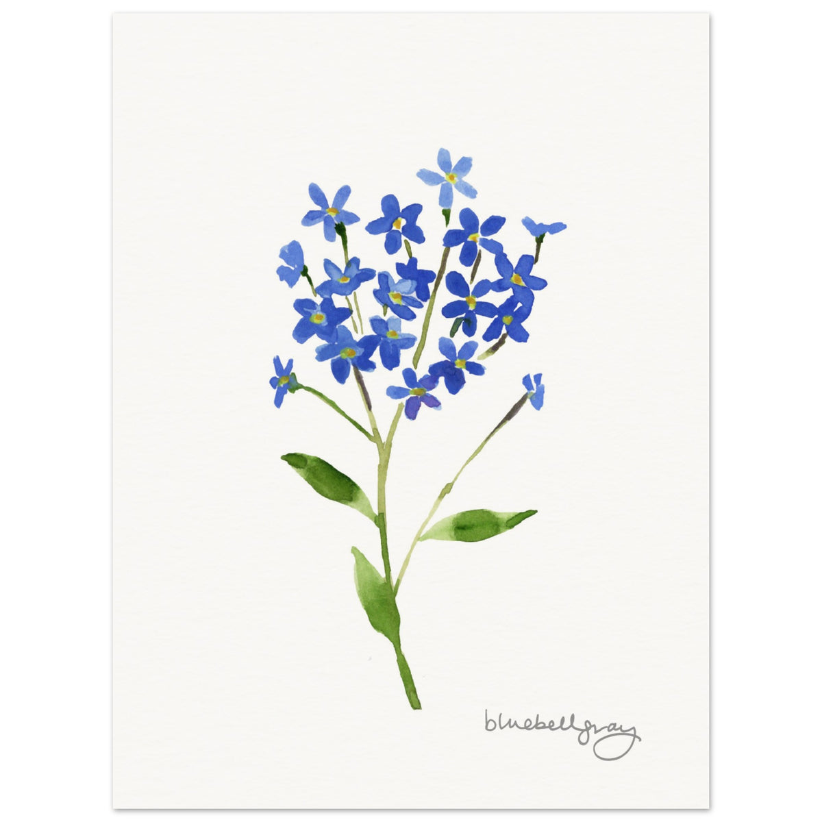 Forget Me Nots Art Print – Bluebellgray