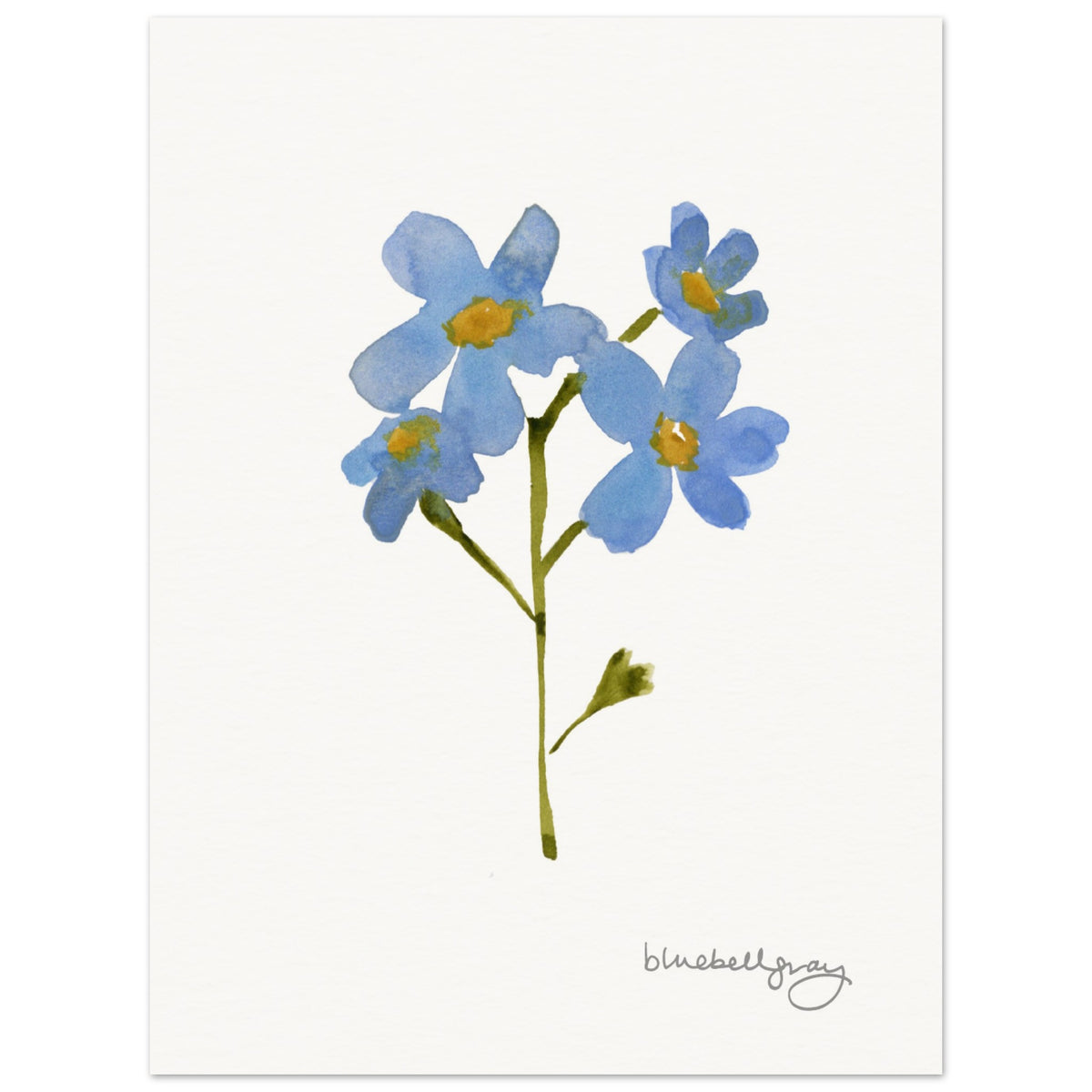 Forget Me Not Art Print – Bluebellgray
